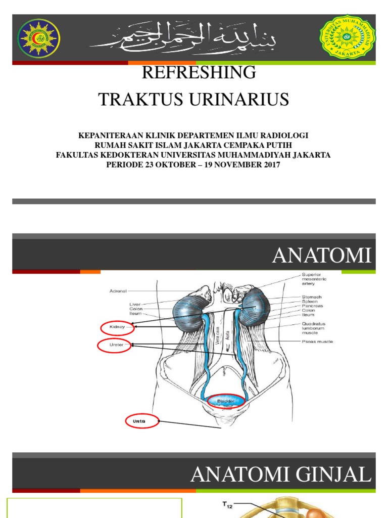 Pemeriksaa Radiologi Traktus Urinarius