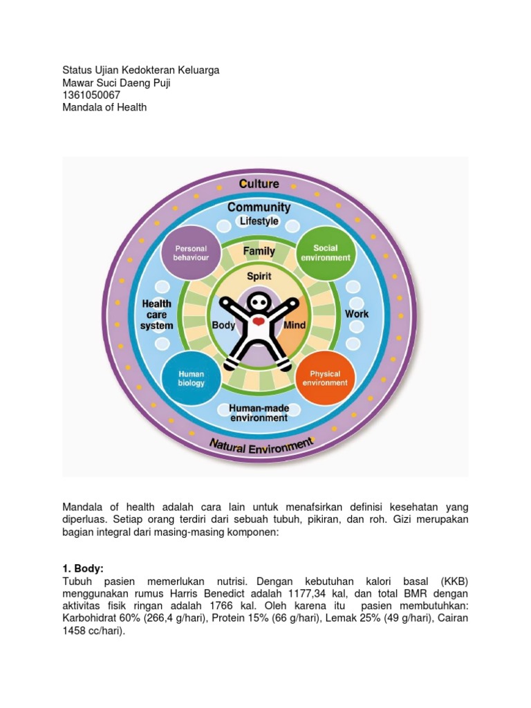 Model Mandala Kesehatan Pasien | PDF