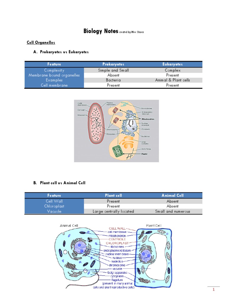 A Comprehensive Overview of Key Cell Organelles and Their Functions ...