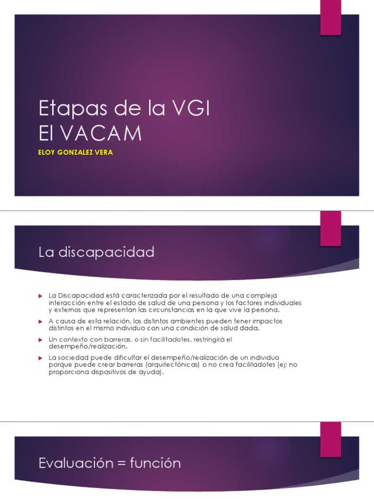 Etapas de La VGI | PDF | Vejez | Evaluación