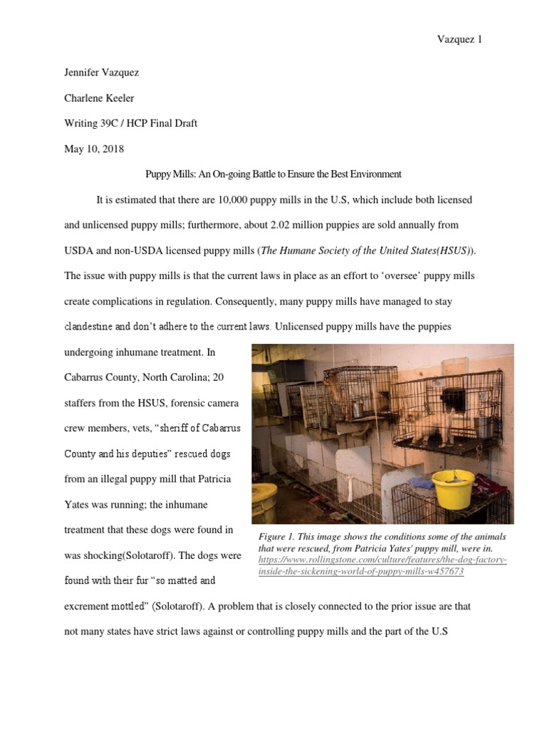 HCP Final Draft | PDF | Animals And Humans | Domesticated Animals