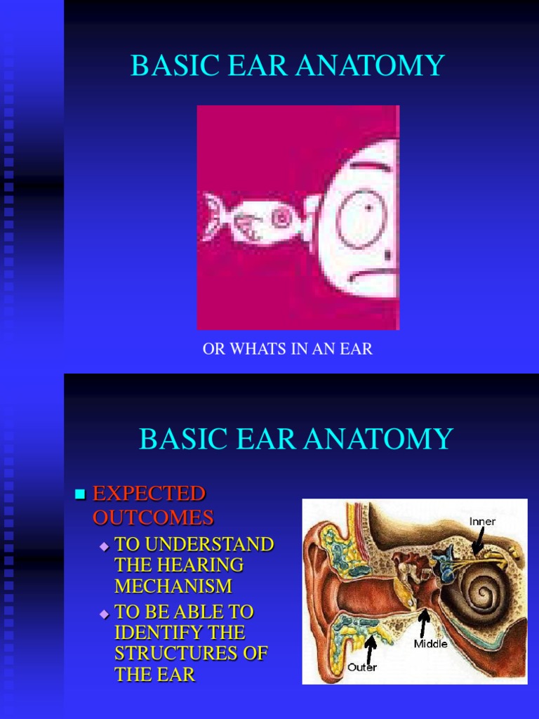 A Comprehensive Guide to Basic Ear Anatomy and Hearing Mechanisms | PDF ...