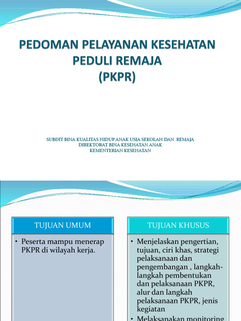 Pedoman PKPR | PDF