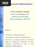 Bula Holmes H: Tratamento da Hipertensão | PDF | Anti-inflamatório não ...
