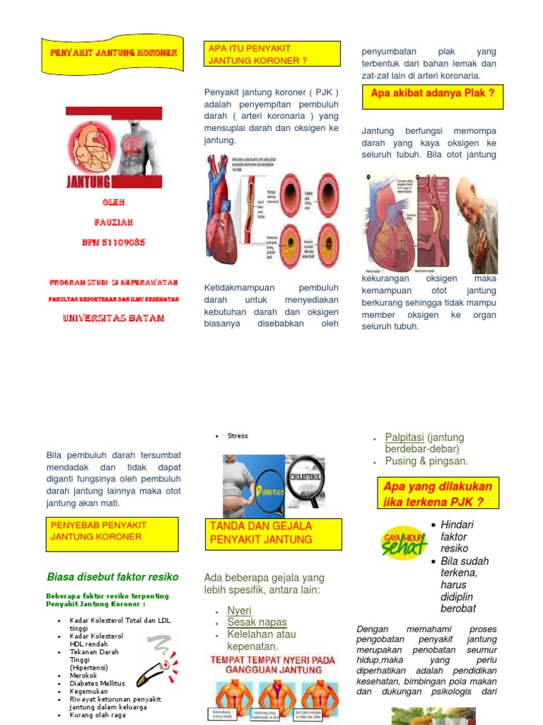 Leaflet PJK | PDF