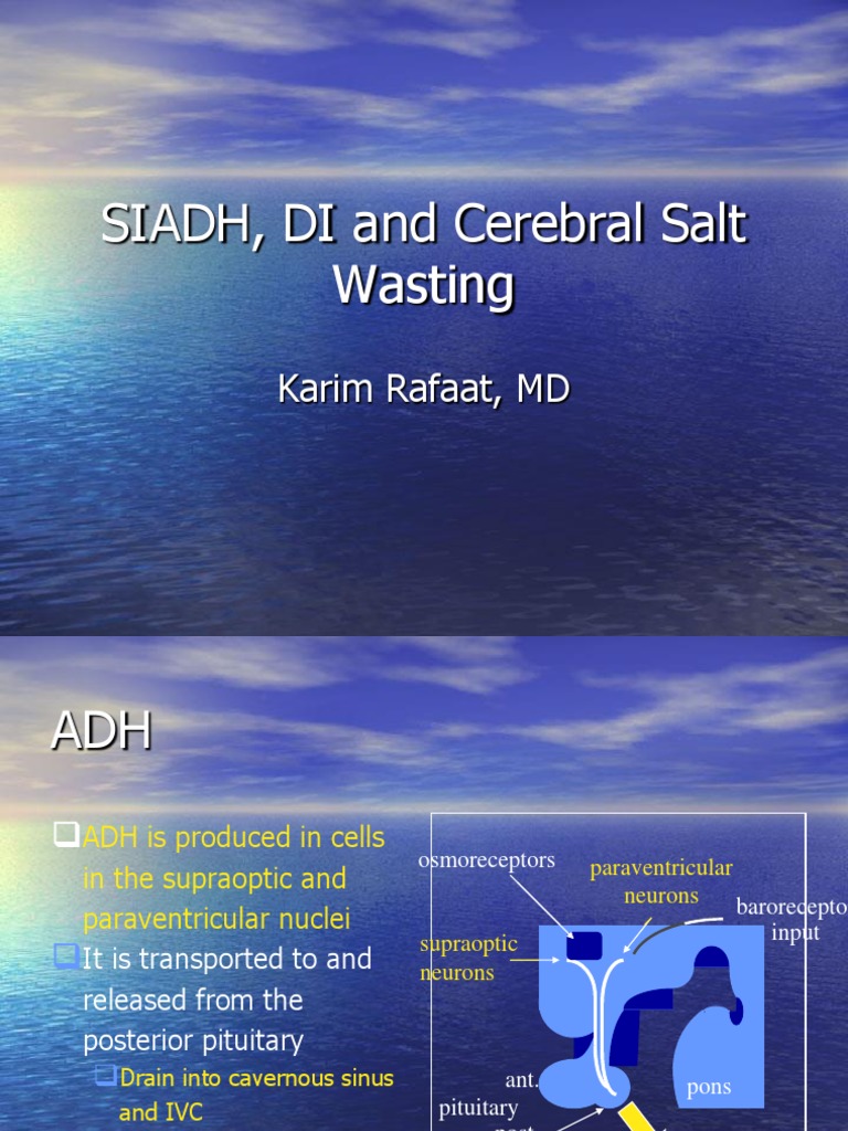 Renal Siadh Di CSW | PDF | Medical Specialties | Organ (Anatomy)