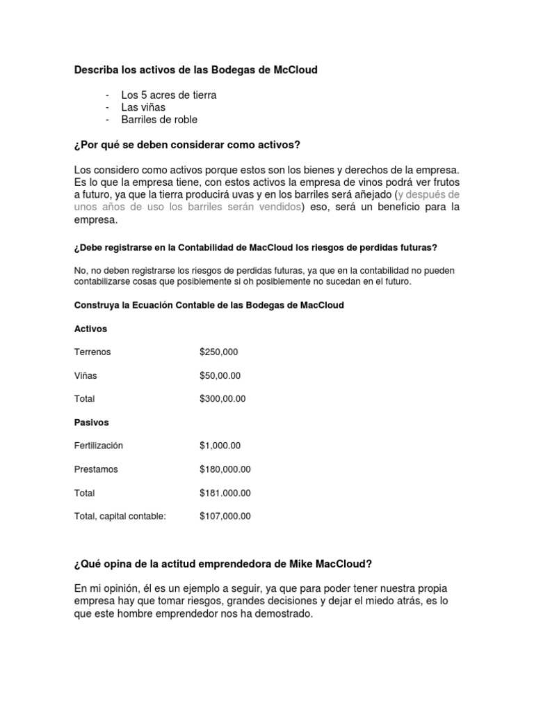 Activos de las Bodegas MacCloud | PDF