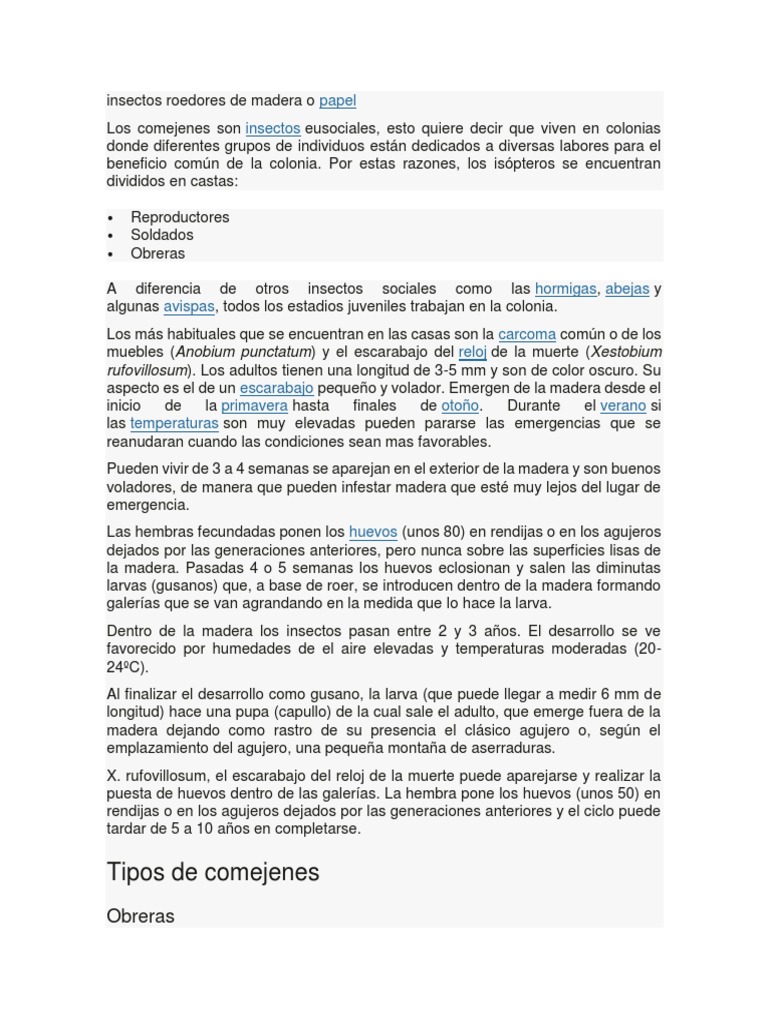 Qué Es Un Jején | PDF | Organismos | Naturaleza