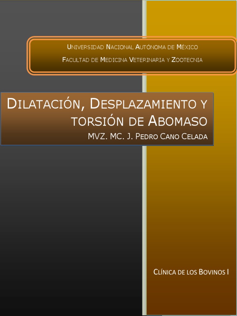 Dilatacion y Desplazamiento de Abomaso | PDF | Rumiante | Vacas