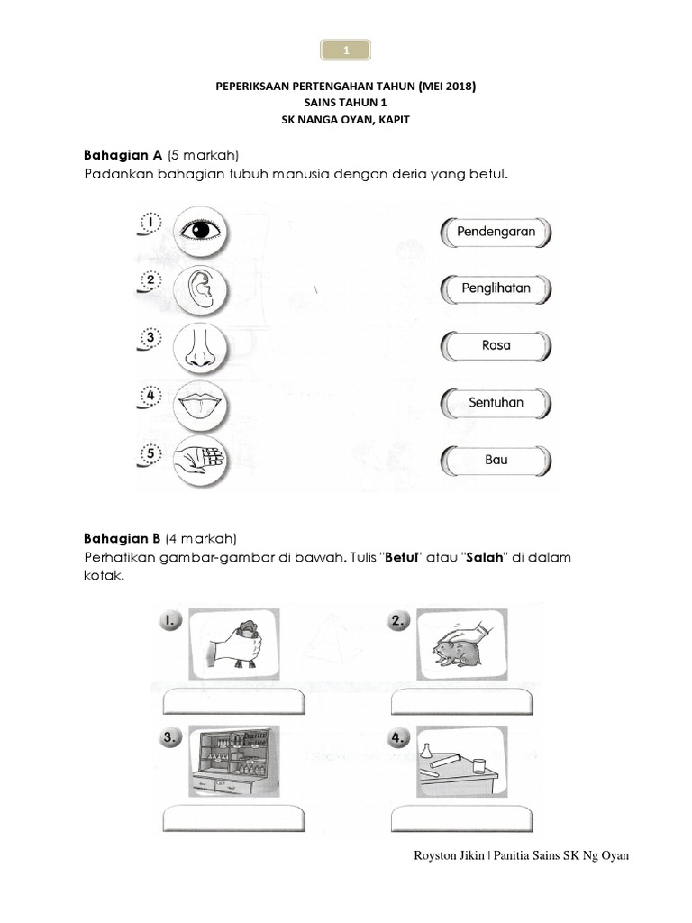 Sains Tahun 1 | PDF