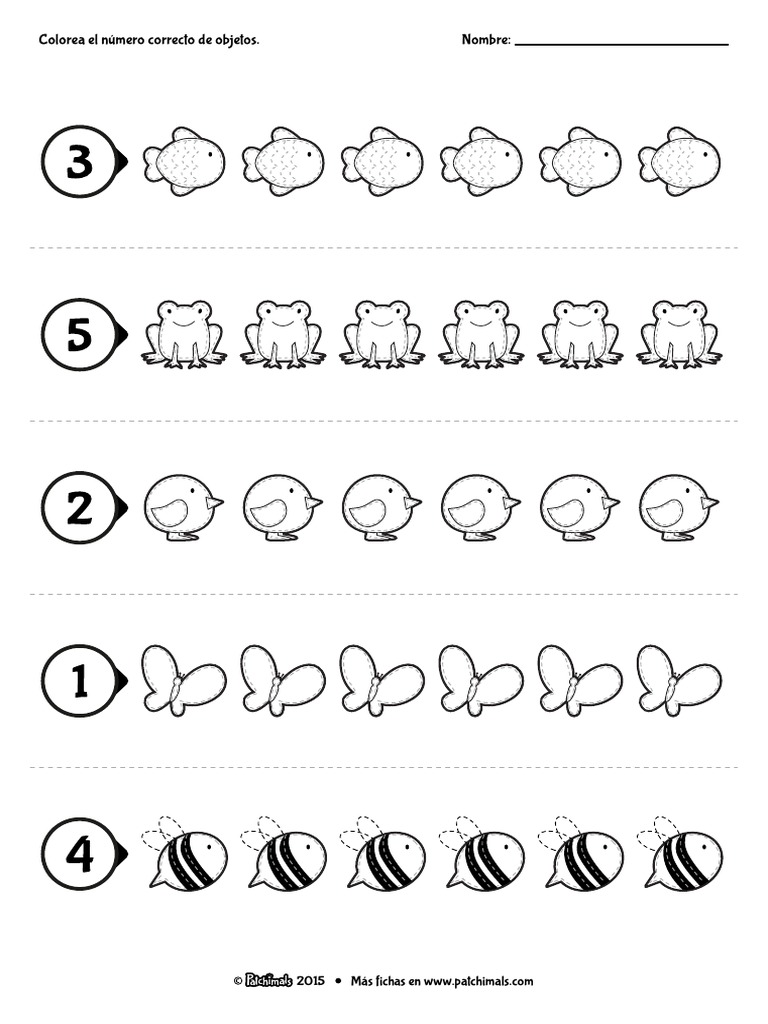 Count and Color Esp PDF | PDF