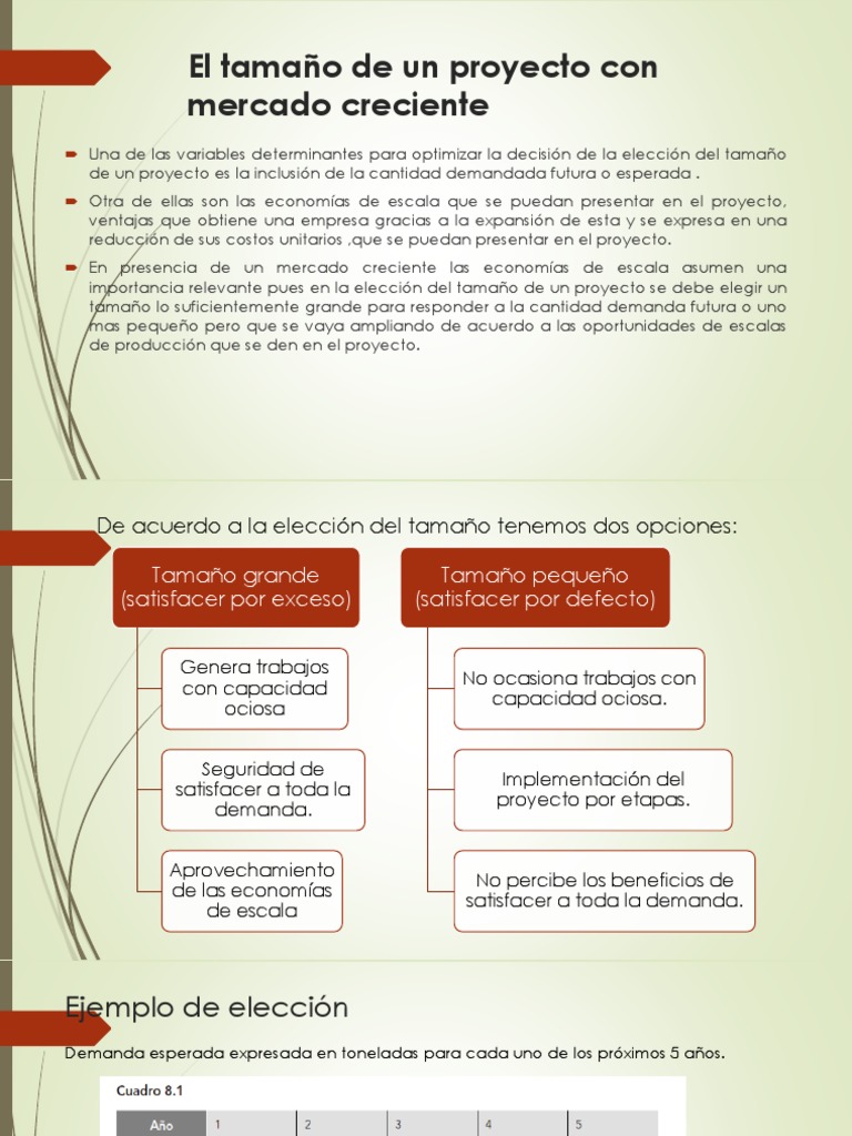 El Tamaño de Un Proyecto Con Mercado Creciente | Beneficio (economía ...