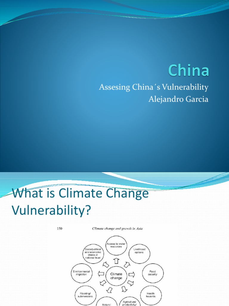 Assesing China S Vulnerability Alejandro Garcia | PDF