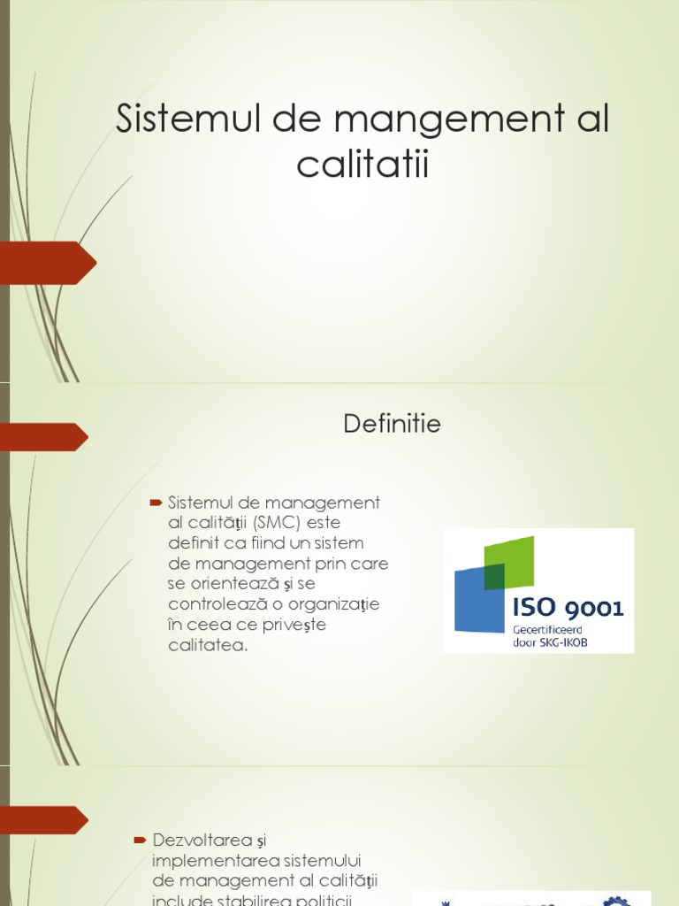 Sistemul de Management Al Calitatii | PDF