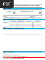 Formato FLASH Report | PDF