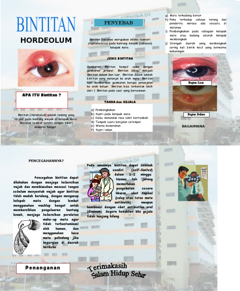 Leaflet Hordeolum | PDF