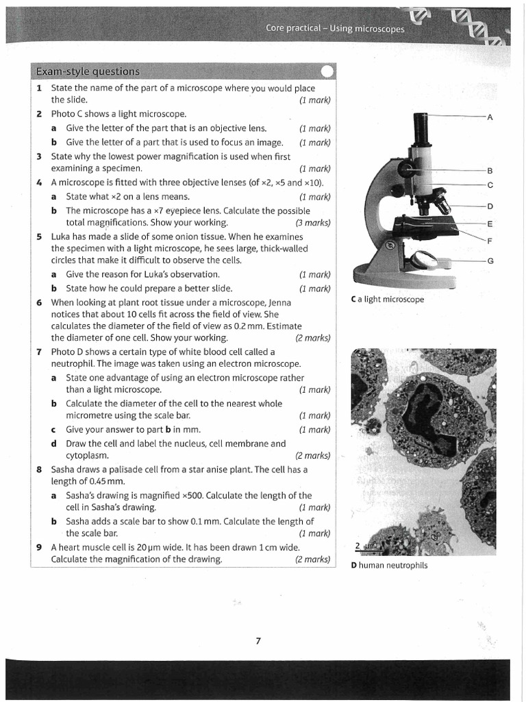 Microscopy GCSE Edexcel Questions | PDF