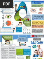 Triptico Salud Ocular | PDF | Percepción visual | Ojo