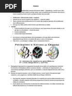 Células Escamosas Del Exocérvix | PDF | Biología Celular) | Vagina