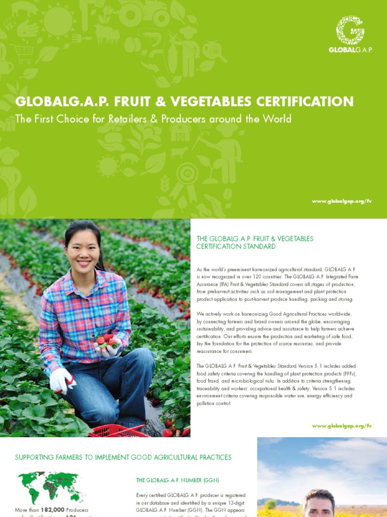 Fruit and Vegetables Booklet en | PDF | Food Safety | Foods