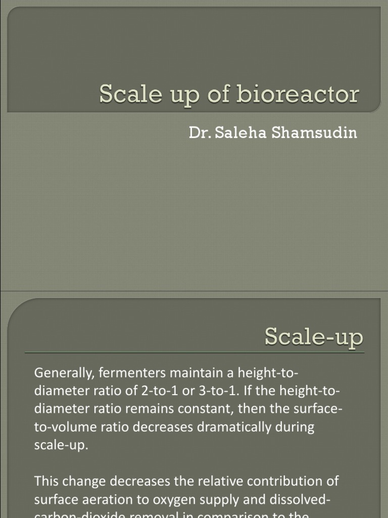 Bioreactor Scale-Up | PDF | Chemical Reactor | Applied And ...