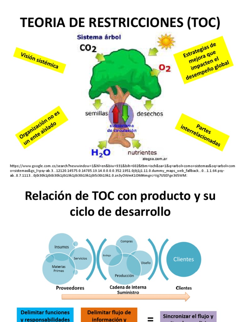 Teoria de Restricciones (Toc) | PDF | Ingeniería de software | Business