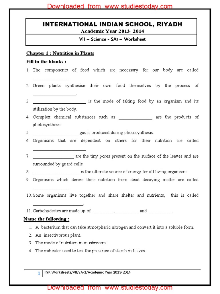 International Indian School, Riyadh: VII - Science - SA1 - Worksheet ...