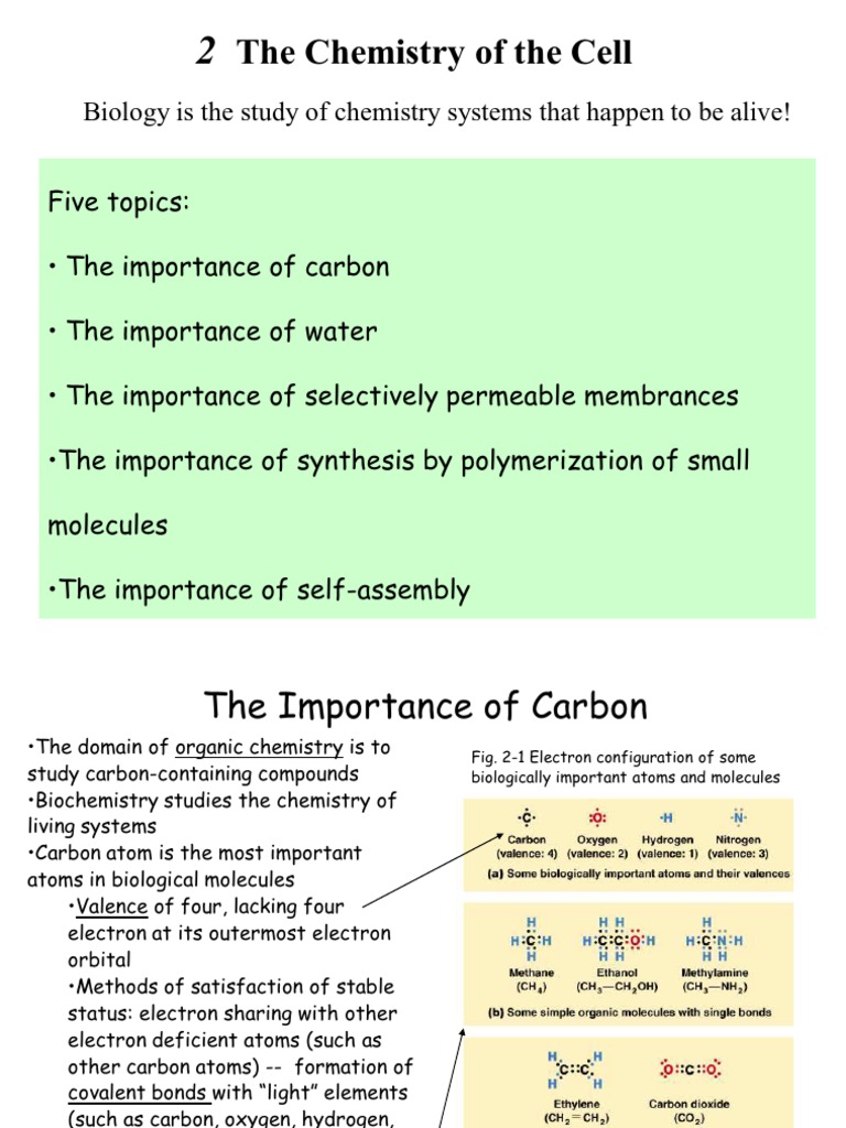 Importance of Carbon in Biology | PDF | Macromolecules | Lipid Bilayer