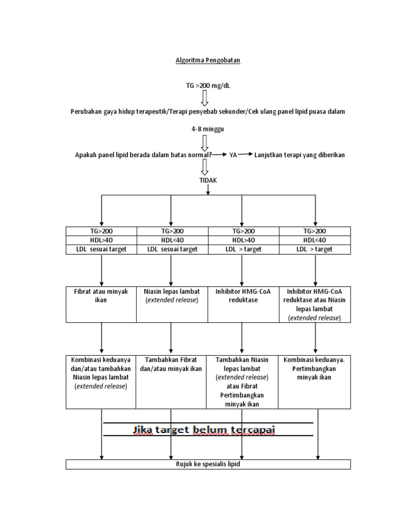 Algoritma Pengobatan Hipertrigliseridemia | PDF