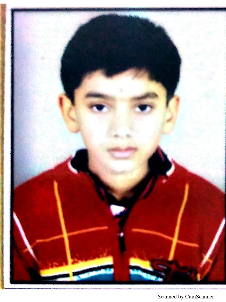 Yasharth Photo PDF | PDF