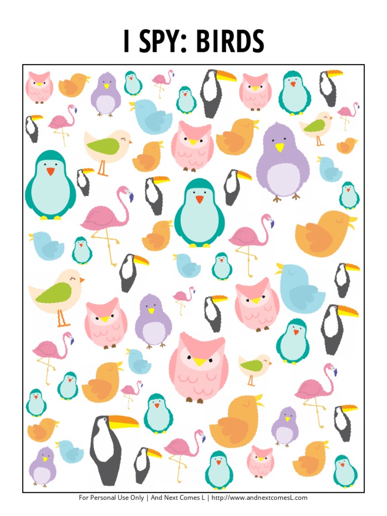 I Spy Birds | PDF