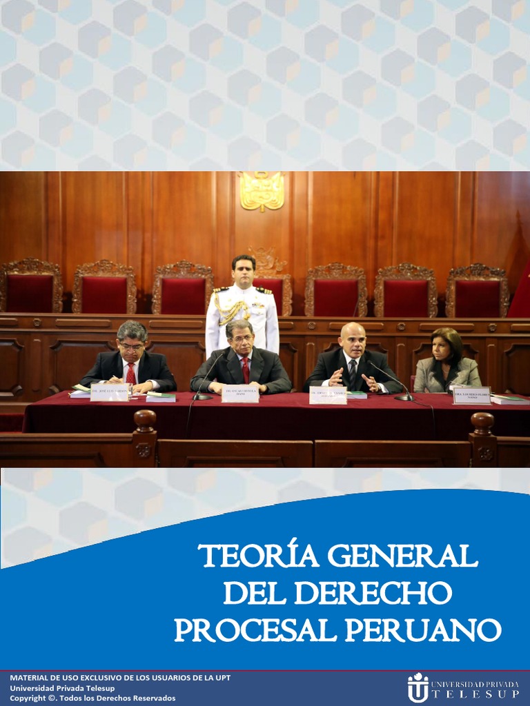 Teoría General Del Derecho Procesal Peruano | PDF | Debido al proceso | Ley procesal