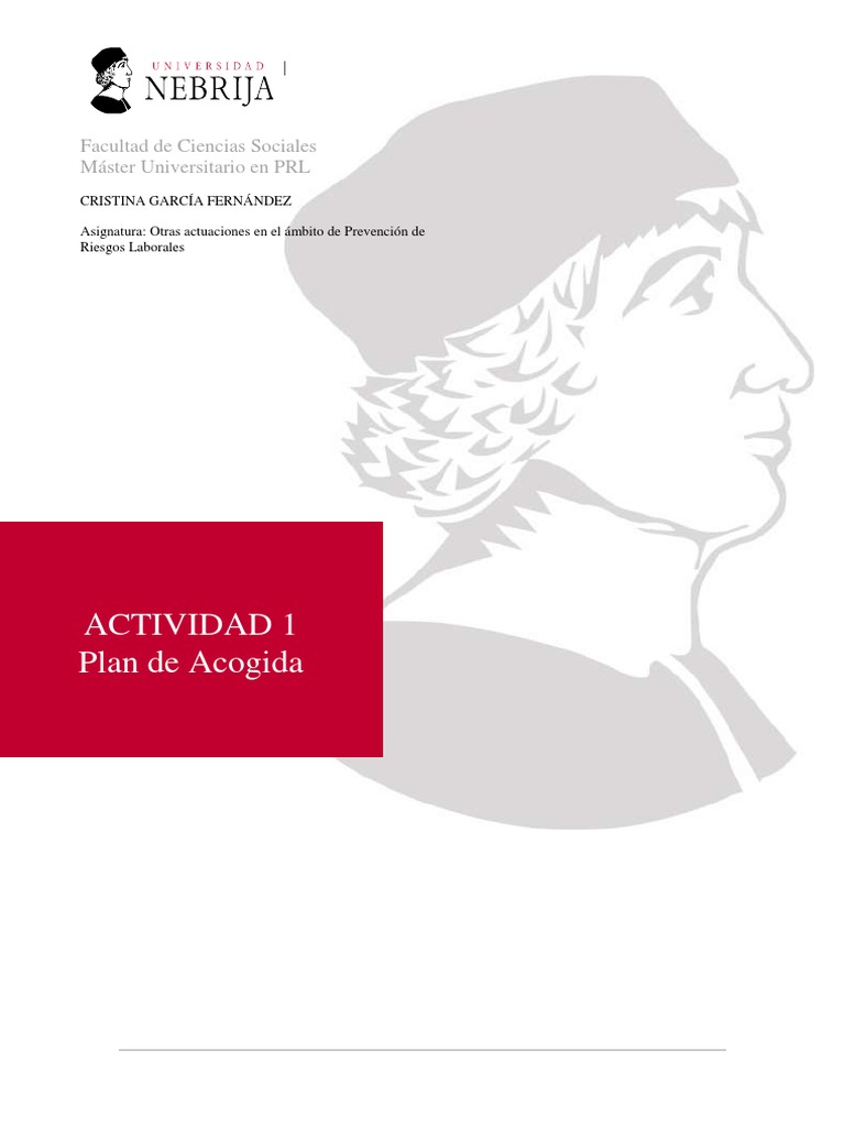 Actividad 1 Plan de Acogida | PDF | Planificación