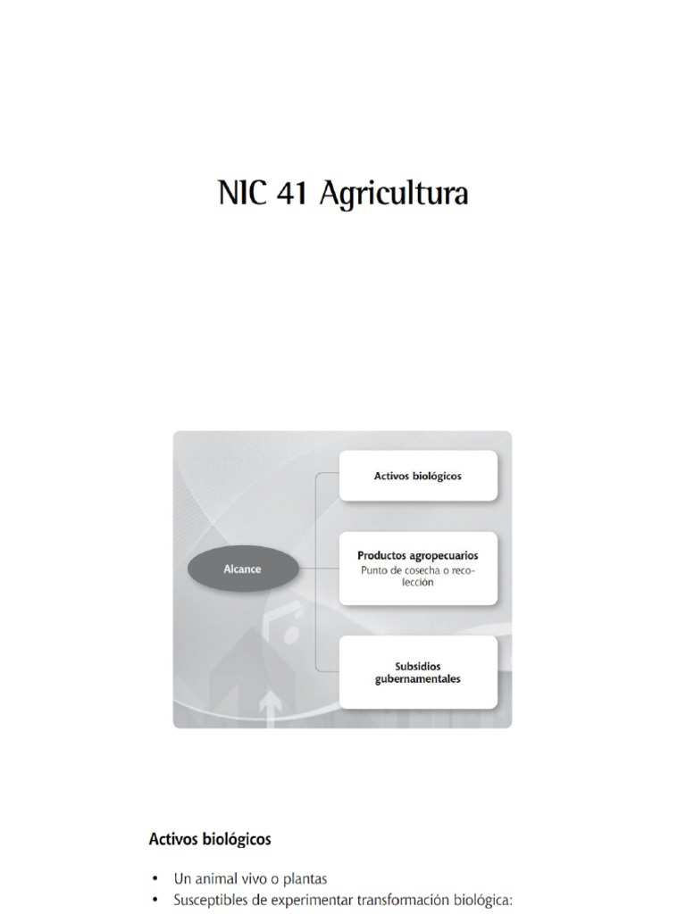 Nic 41 | PDF
