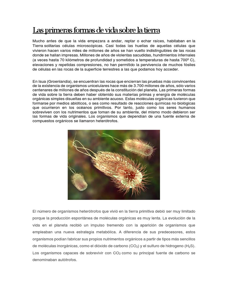 Las Primeras Formas de Vida Sobre La Tierra | PDF | Fotosíntesis ...