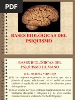 El Sentido de La Vista | PDF | Ojo humano | Color