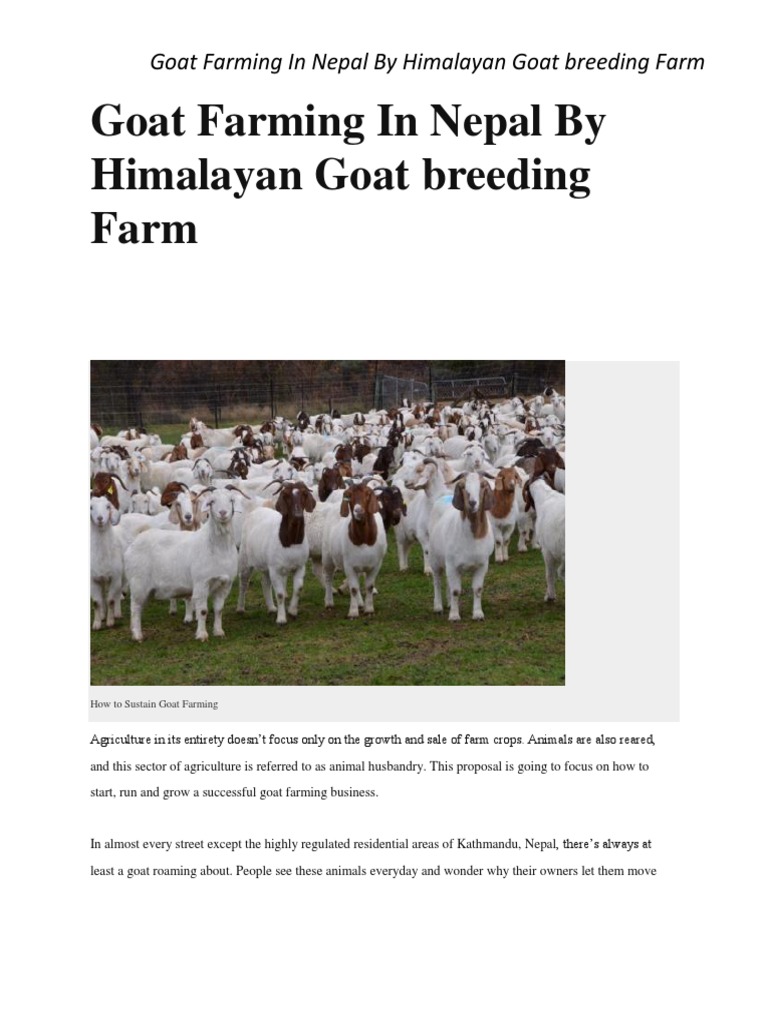 Himalayan Goat Breeding Farm Bungkot Gorkha Nepal | PDF | Goat | Farms