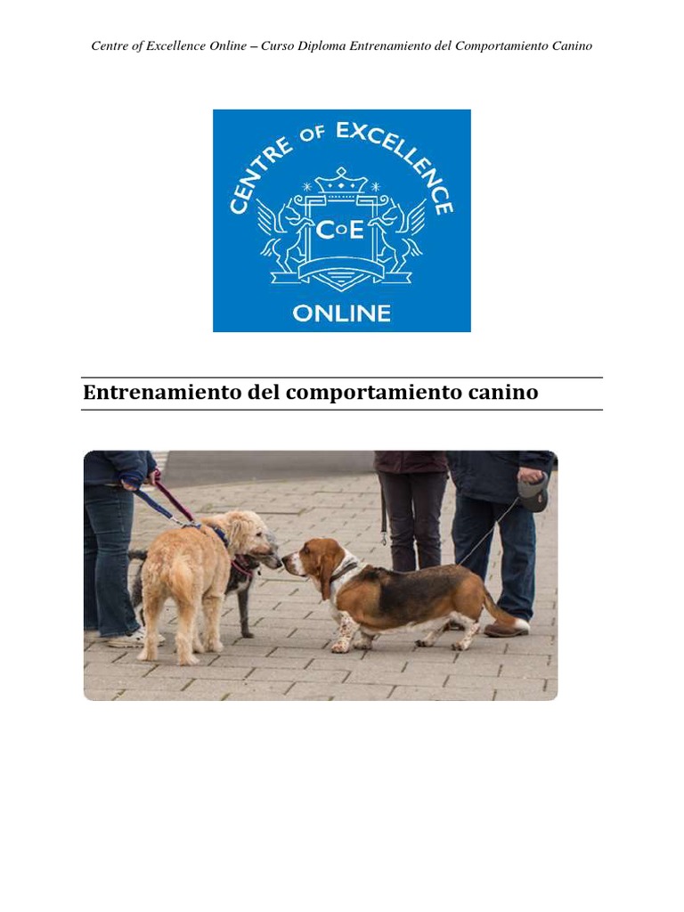Comportamiento Canino - Módulo 1 | PDF | Lobo gris | Perros