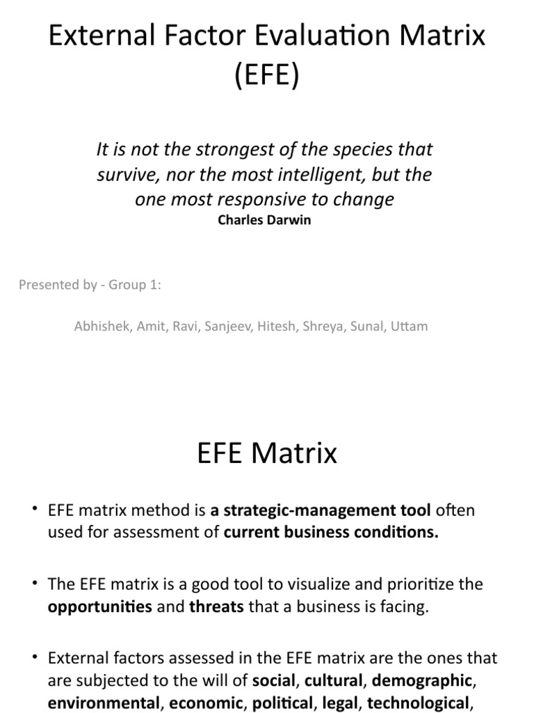 External Factor Evaluation Matrix (EFE) | PDF
