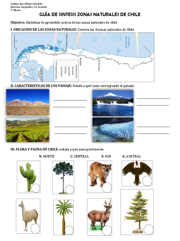 Guia de Sintesis - Segundo Básico (Zonas Naturales de Chile) | PDF Guia de Sintesis - Segundo Básico (Zonas Naturales de Chile) | PDF