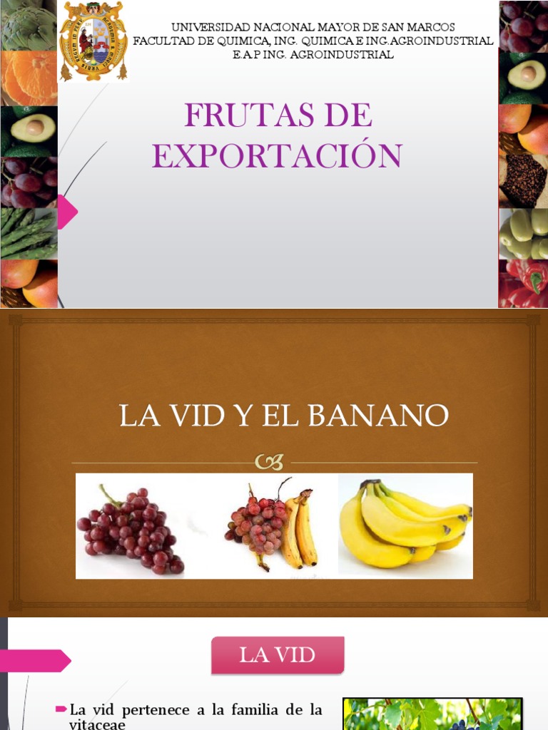 Frutas de Exportación PERÚ | PDF | Aguacate | Perú