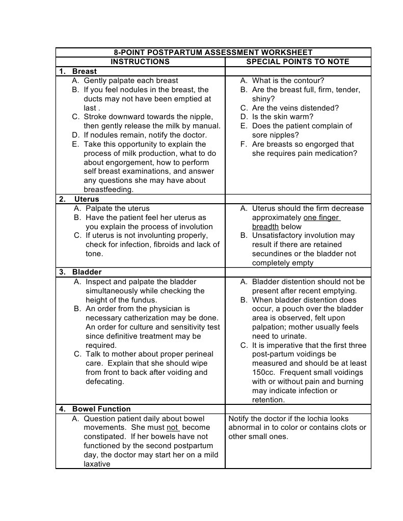 8 Point Assessment Worksheet | PDF | Uterus | Urinary Bladder