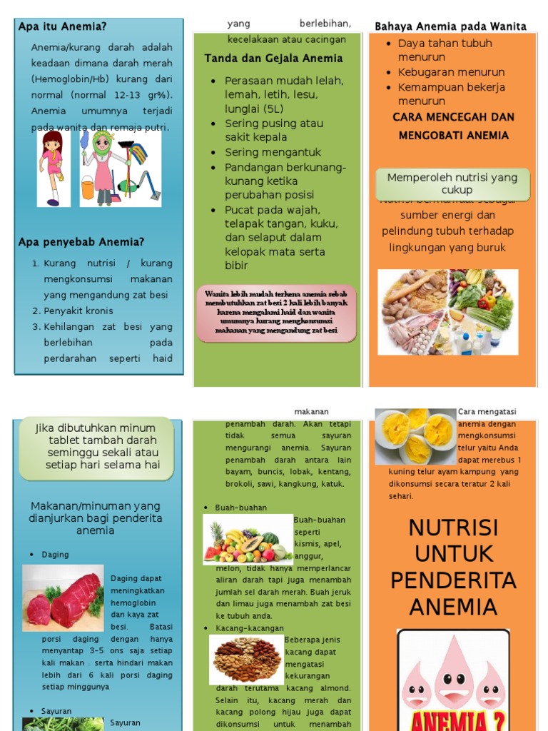 Leaflet Anemia | PDF