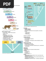 Taxonomy Concept Map | PDF | Mammals | Zoology