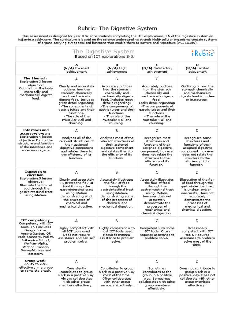 The Digestive System Rubric-Final | PDF | Stomach | Digestion