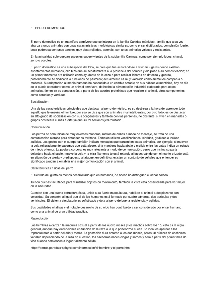 El Perro Domestico Pdf Lobo Gris Perros