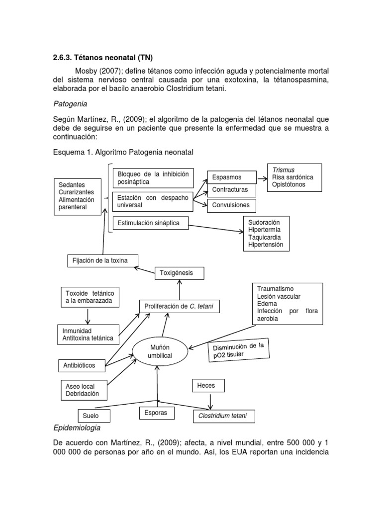 2.6.3. Tétanos Neonatal | PDF | Enfermedades y trastornos | Medicina ...