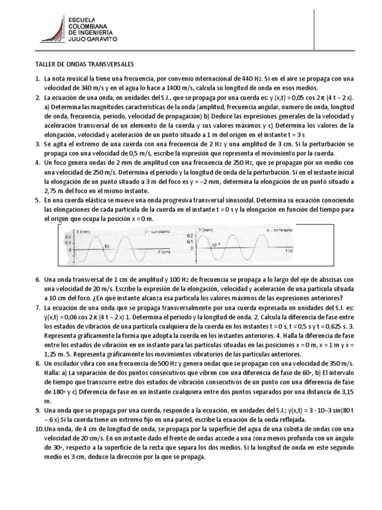 Taller de Ondas Transversales | PDF | Olas | Frecuencia