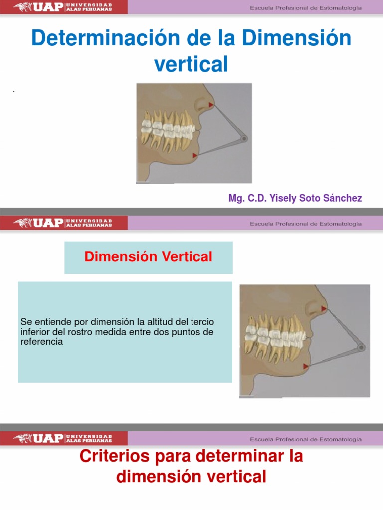 Dimensión Vertical Postural y Oclusal | PDF | Anatomía humana | Naturaleza