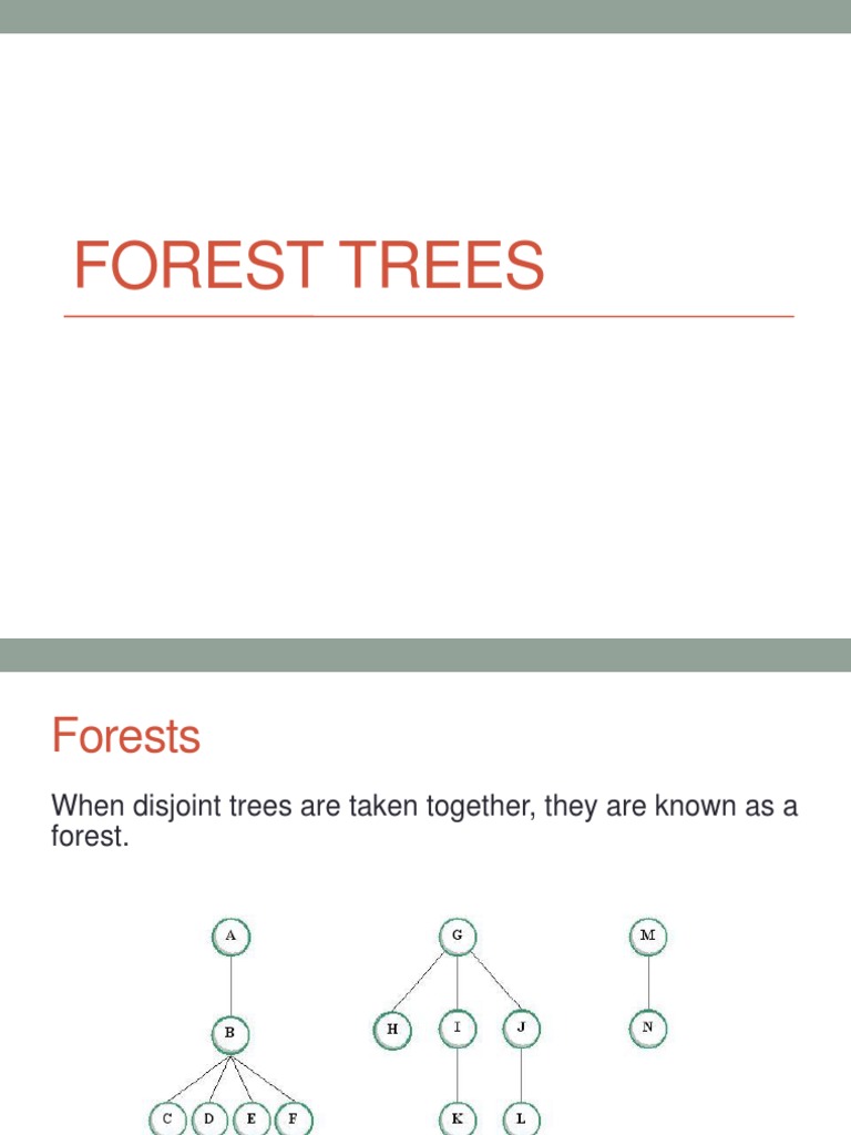 Forest Trees | PDF